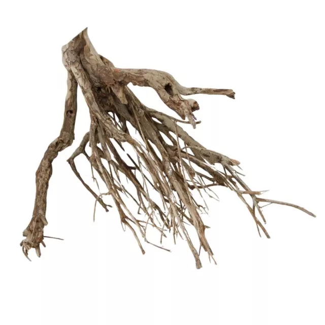 AQUARIUM RACINE DÉCO Talawawurzel Aquascaping Mangrove Vrai Bois XXL Nr ...