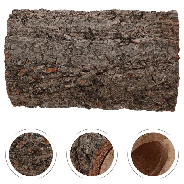 TORTOISE HIDEOUT REPTILE Hideouts Trunk Leopard Gecko Corner Lizard ...