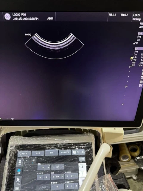 GE E8CS-RS ULTRASONS Sonde / Transducteur EUR 3.321,59 - PicClick FR