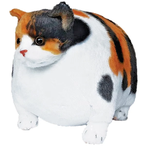 FATTY ZOO CAT Calico cat Stuffed Animals Cute Neko Kawaii 16 inches New ...