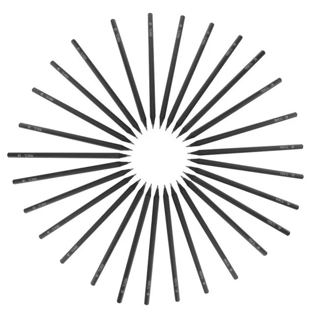 30 PCS PROFESSIONAL Sketch Pencils Drawing Supplies Black Sketching $26 ...