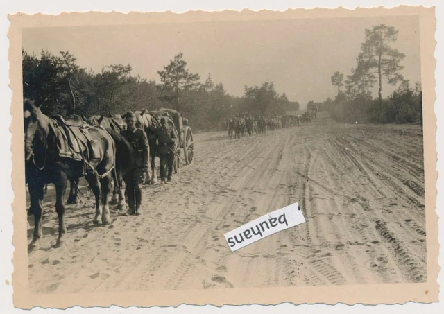 RUSSLAND WEHRMACHT HEERESFELDWAGEN Pferde Soldaten 2.WK (7886a) EUR 4 ...