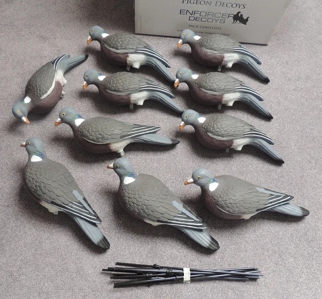 10 X ENFORCER PRO SERIES PIGEON DECOYS ( BOXED NEW ) £69.00 - PicClick UK