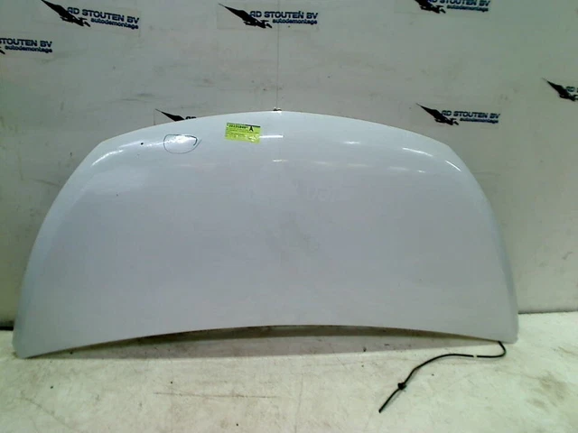 CAPOT OPEL VIVARO Van 1.6 CDTI 90 (R9M-408(R9M-A4)) 2015 EUR 300,00 ...