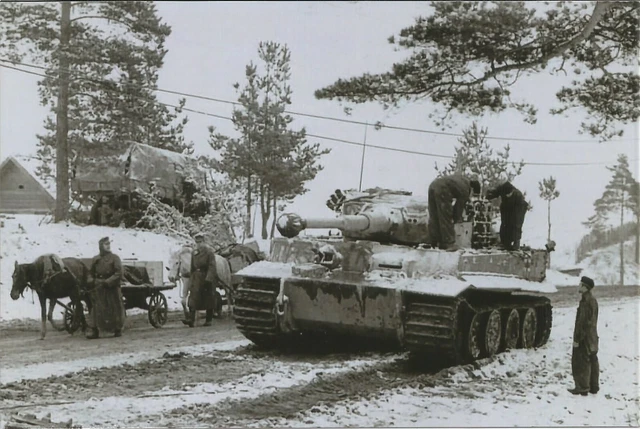WW II - German Photo -- - Tiger Tank I - Russian Front EUR 4,05 ...