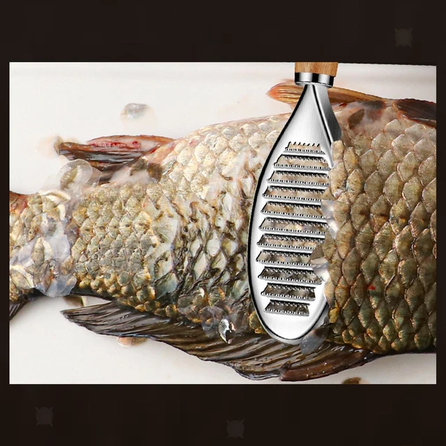 GRATTOIR D'ÉCHELLE DE dissolvant d'écailles de poisson d'acier ...