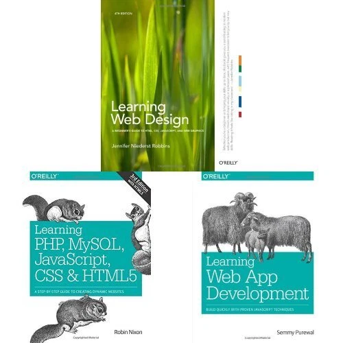 LEARNING WEB DESIGN: A Beginner's Guide to HTML, CSS, JavaScript, and ...