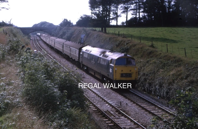 ORIGINAL 35MM SLIDE British Railway - Class 52 D1013 Western Ranger ...