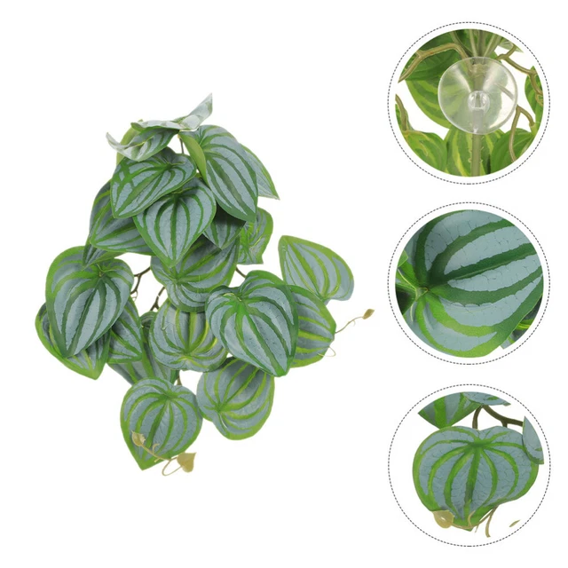 PIANTE PER ACQUARI Mini Animali Ventose Appendere Da Terrario EUR 7,99 ... PIANTE PER ACQUARI Mini Animali Ventose Appendere Da Terrario EUR 7,99 ...