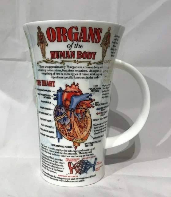 DUNOON ORGANS OF the Human Body Informative Glencoe Mug Tea Coffee ...