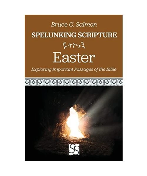 EASTER: EXPLORING IMPORTANT Passages of the Bible, Bruce Salmon EUR 25,94 - PicClick FR