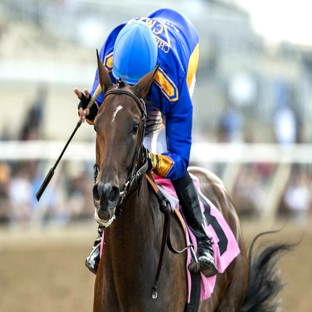 METHODE DE TURF : 2 Méthodes Thierry Lammens T.G.S.T. + COTES PMU ...