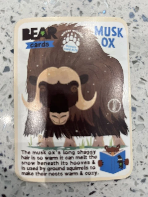 BEAR YOYO ANIMAL Cards - Musk Ox 8/9 Yo Yo Card Winter Wildlife £3.50 ...