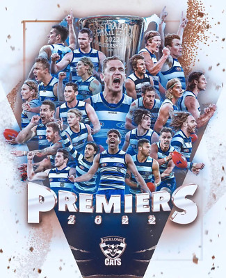 2022 GEELONG CATS premiers team poster afl football,Sydney swans, pies ...