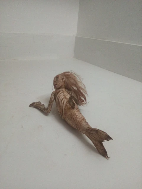 FEEJEE FIJI Mermaid Sideshow gaff freak #142 $100.55 - PicClick AU
