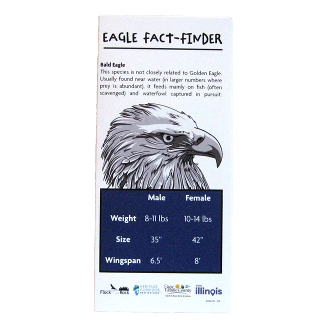 BALD EAGLE FACT Finder Brochure Facts Figures Drawings $5.99 - PicClick