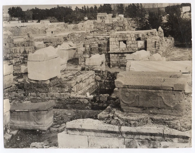 PRESS PHOTO JANE Dolinger Ken Krippene Roman Cemetery at Tyre ...
