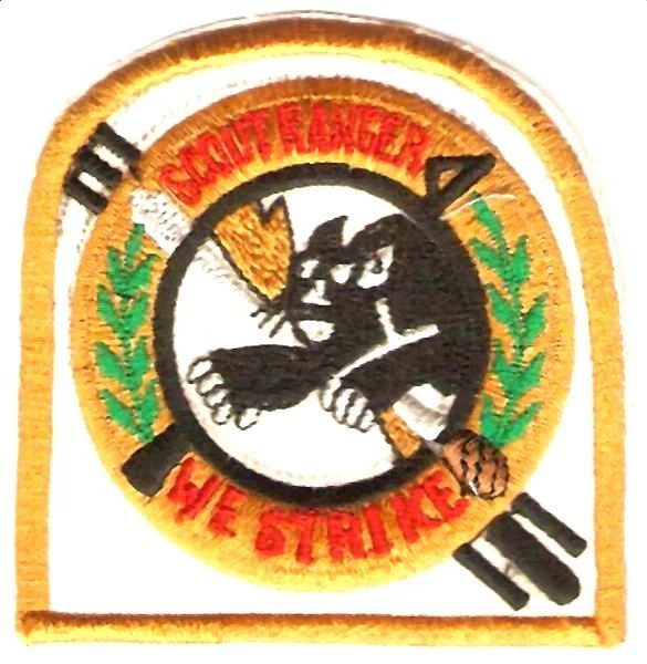PATCH SCOUT RANGER armée philippine et police nationale PNP 3 x 3 ...