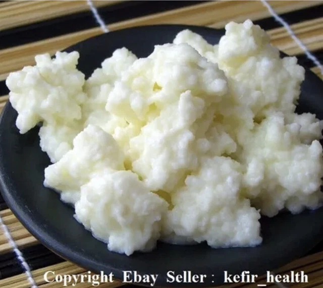 SUPER ACTIVE ORGANICALLY Grown Milk Kefir Grains, 1 Teaspoon, free post ...
