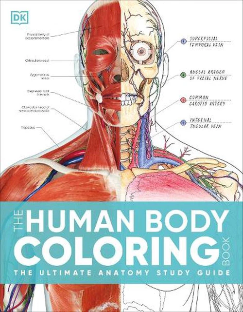 THE HUMAN BODY Coloring Book: The Ultimate Anatomy Study Guide, Second ...