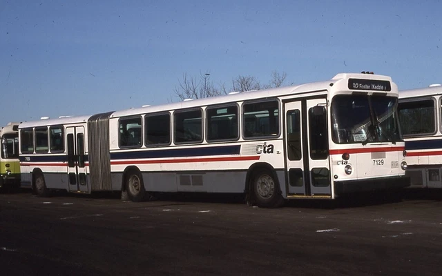 AP ORIG SLIDE CTA Chicago Transit Authority MAN Articulated Bus #7129 ...