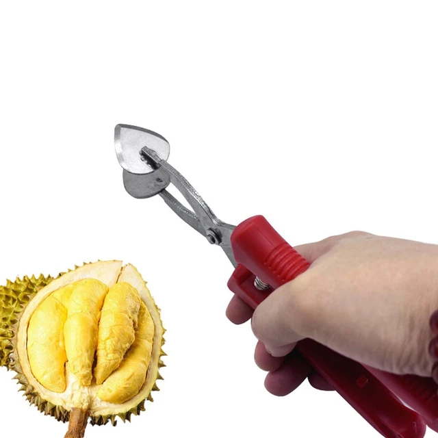 DURIAN OPENER FRUIT Durian Shell Opener Clip Peeling Smooth Fruit ...