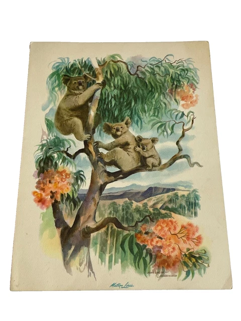 60S SS LURLINE Matson Cruise Line Dinner Menu Koala Tree Watercolor ...