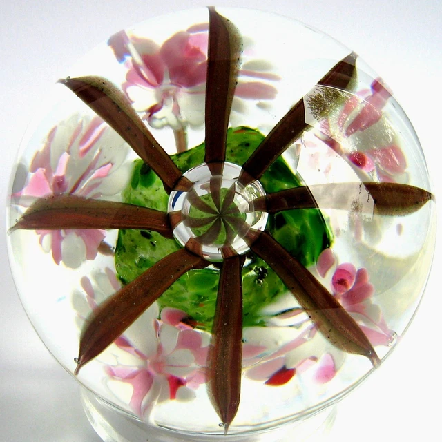 BRIEFBESCHWERER PAPERWEIGHT EUGENE CRABTREE Spider Lily, Magnum Format ...