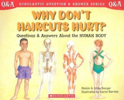 WHY DON T HAIRCUTS Hurt Questions And Answers About The Human Body why-don-t-haircuts-hurt-questions-and-answers-about-the-human-body