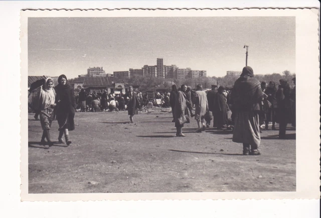 WW2 FOTO ELITESOLDATEN Leibstandarte Charkow 1943 Postkartenformat EUR ...