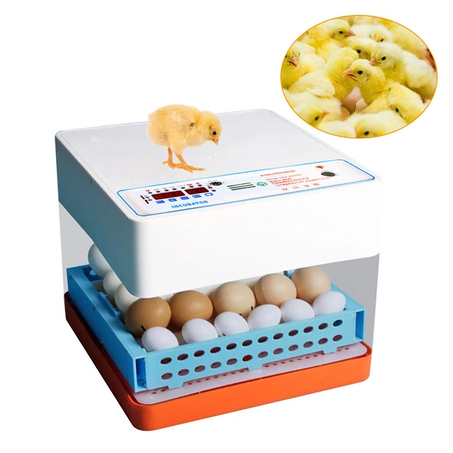 32 EGGS MINI Egg Incubator Automatic 360° Turning Sys Incubator Egg ...