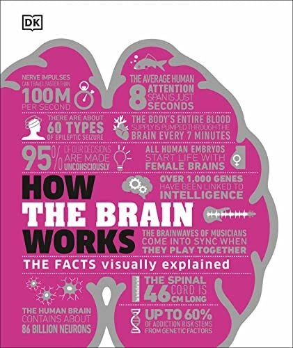 HOW THE BRAIN Works: The Facts Visually Explained, DK 9780241403372 HB*. £20.77 - PicClick UK