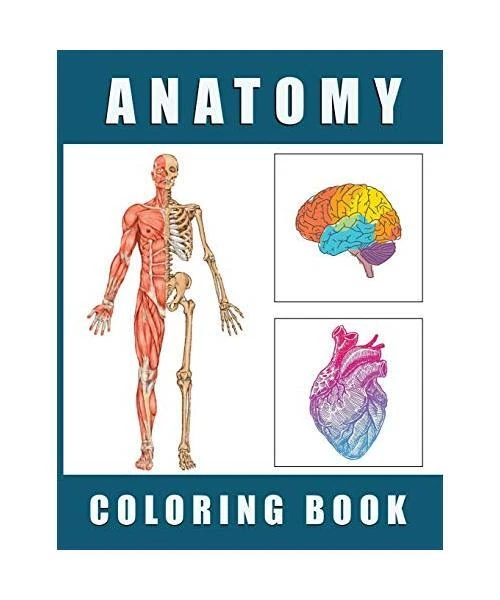 ANATOMY COLORING BOOK: Human Body Anatomy and Physiology Coloring Book ...