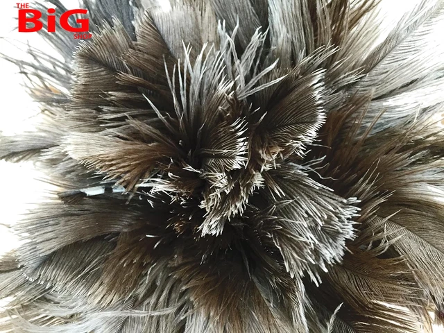 50CM 20'' PREMIUM Quality Genuine Ostrich Feather Duster – Attracts ...