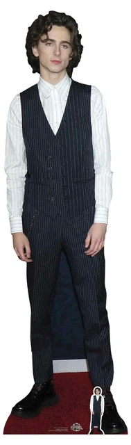 TIMOTHEE CHALAMET GILET Style Taille Réelle Et Mini Carton Découpe ...