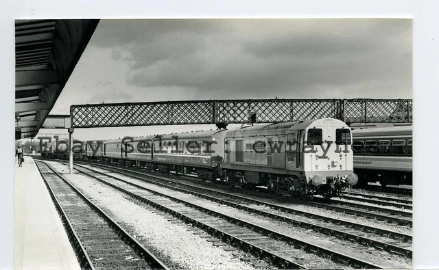 RAILWAY PHOTO: BR Class 20's 20902 + 20903 on Weed Killing Train at ...