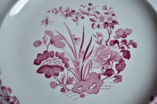 VERY RARE WEDGWOOD Fo Etruria & Barlaston Sample Dinner Plate X 1 £51. ...