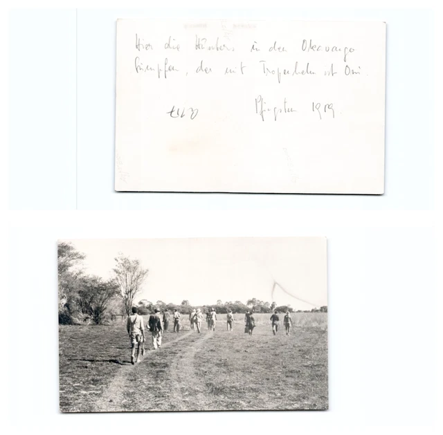 (B95335A159) Südwestafrika Okawango Grosswildjagd 1959. EUR 37,99 ...