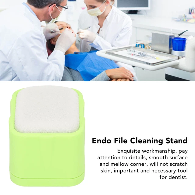 (GREEN)ENDO FILE CLEANING Stand Sponge Endo File Stand Endodontic File ...