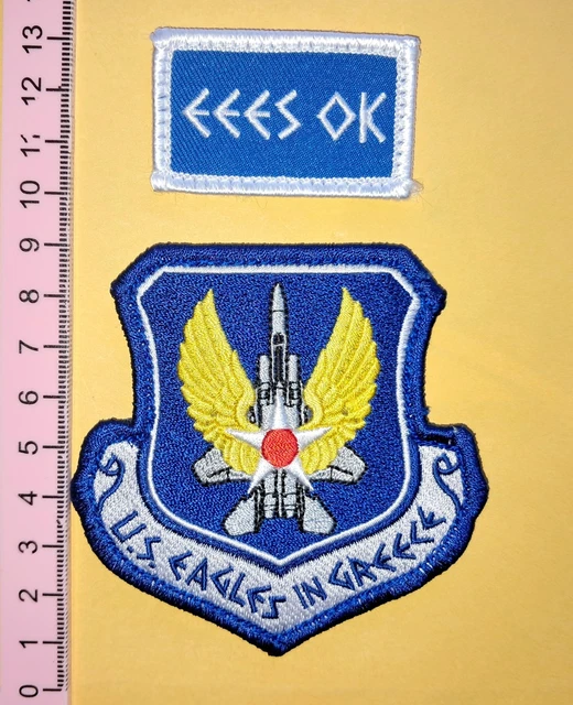USAF PATCH 493RD FS F-15 Eagle RAF Lakenheath Astral Knight 2021 + Tab ...