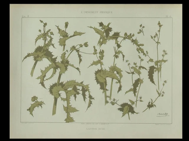 LAITERON RUDE, HABERT Dys -1896- Lithographie, Art Nouveau, Fleurs, EUR ...