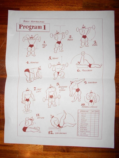 BOSCO-BODYBUILDING PROGRAM 1 muscle wall chart EUR 9,50 - PicClick IT