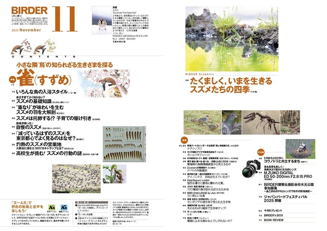 BIRDER MAGAZINE NOV 2025 Japan Sparrow Special Ecology & Urban Nesting ...