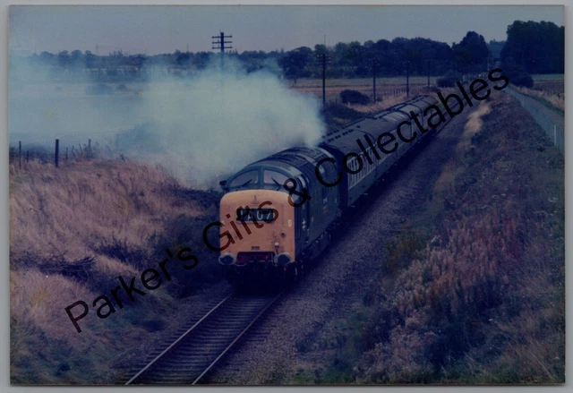 RAILWAY PHOTOGRAPH OF Diesel Locomotive Class 55 £3.51 - PicClick UK