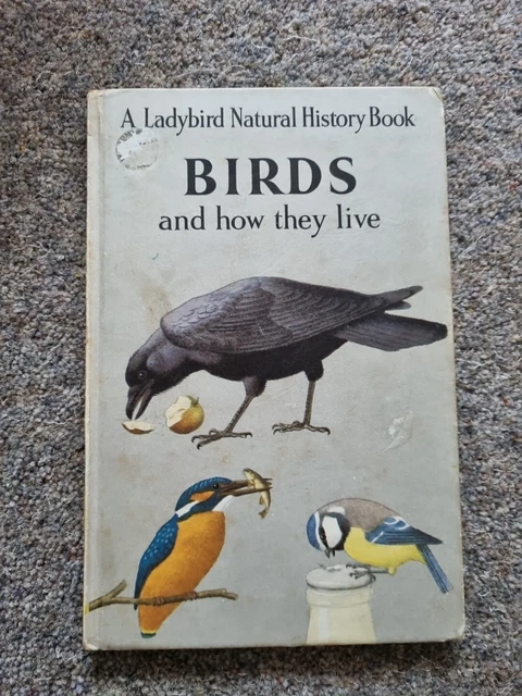 LADYBIRD BOOK SERIES 651 Birds and How they Live 1st Edition £1.99 ...