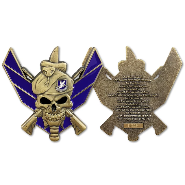INSIGNE EN BRONZE serment d'aviateur USAF Challenge Coin Defensor Force ...