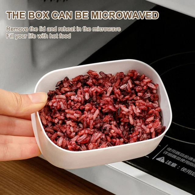 RICE SUB PACKAGED Box Food Container Freezer Refrigerator Dumpling EUR ...