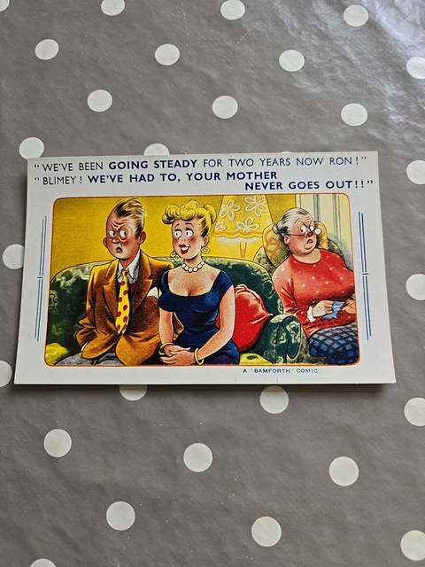 VINTAGE SAUCY SEASIDE Comic Postcard Bamforth Brown Triangle No 1443 ...