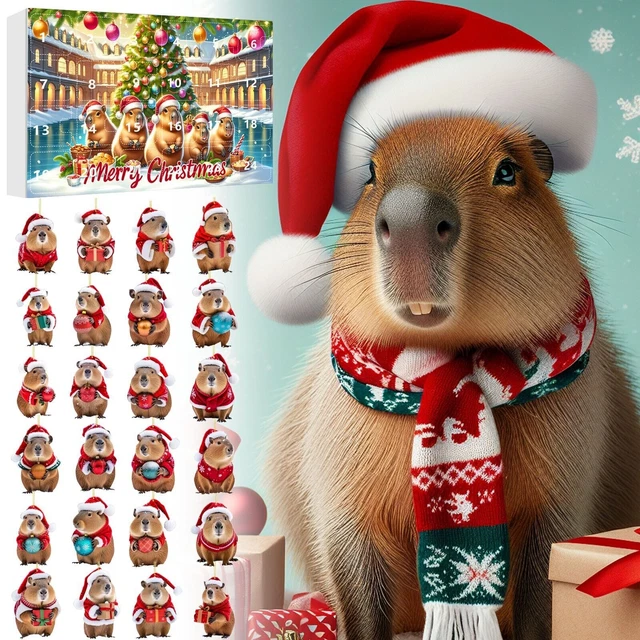 Boys Advent Calendar 2025 2024 Racing Model Christmas Advent Calendar ...