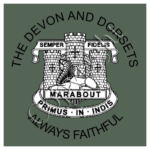 THE DEVON AND Dorsets Regiment Classic Very Rare "The Green One ...